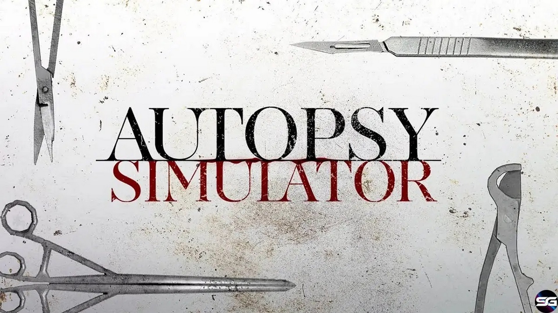 Autopsy Simulator nos destripará en PC - Arata